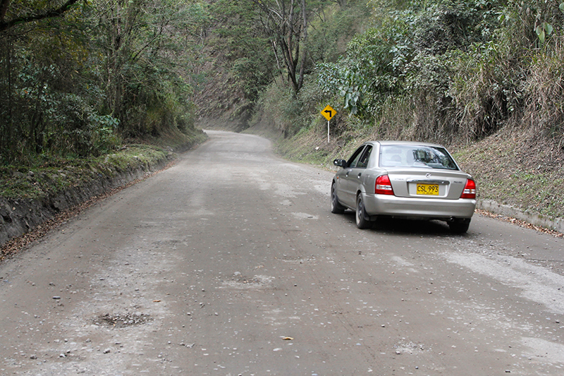 La Alterna al Llano sigue cobrando vidas | EL DIARIO