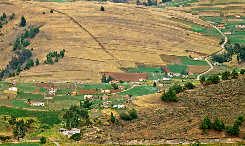 La estocada final al campo colombiano | EL DIARIO