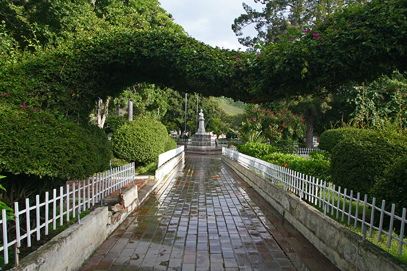 Soatá, tierra de dátiles, un destino para disfrutar | EL DIARIO