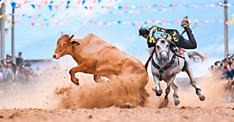 Coleo, entre la tradición y la controversia | EL DIARIO